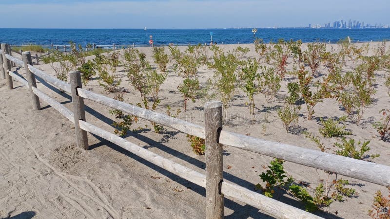 Hanlan S Point Nude Beach View On Toronto Islands Stock Image Image