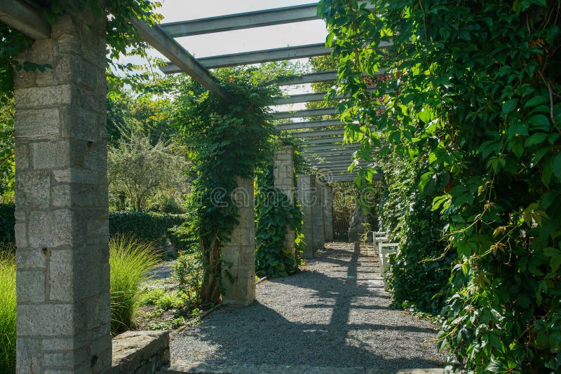 Hannover: Garden Path and Climbing Plants on Construction (square ...