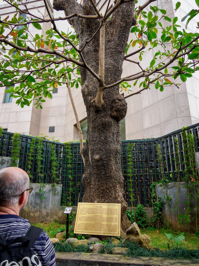 Historic Almond Tree at the Maison Centrale Prison Used by Prisoners To ...