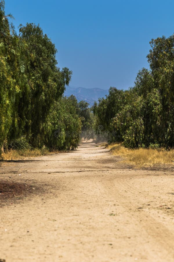 Hansen Dam Trail stock image. Image of hiking, path, grass - 94200587