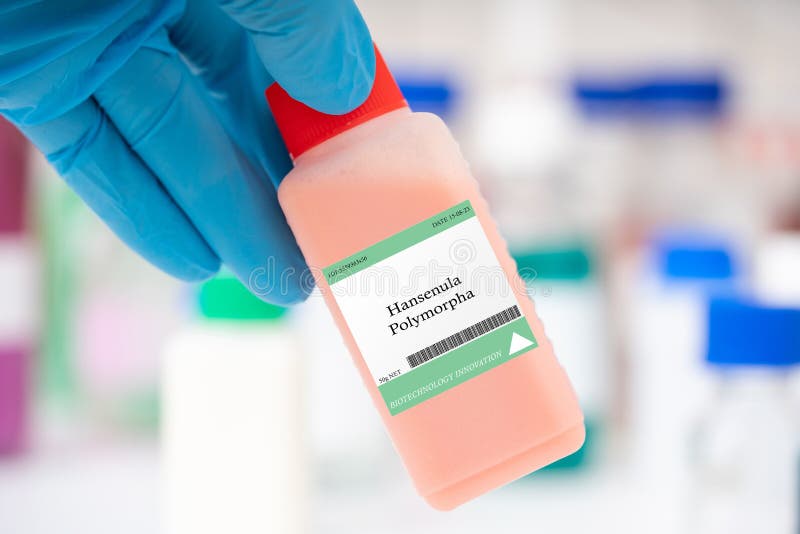 Hansenula polymorpha image stock. Image du industriel - 278113325