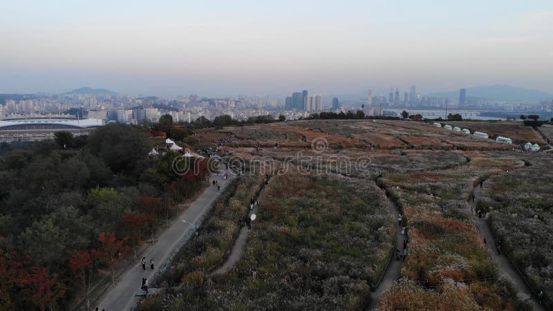 Hanuel Park in Seoul, South Korea. Drone Point of View Stock Video ...