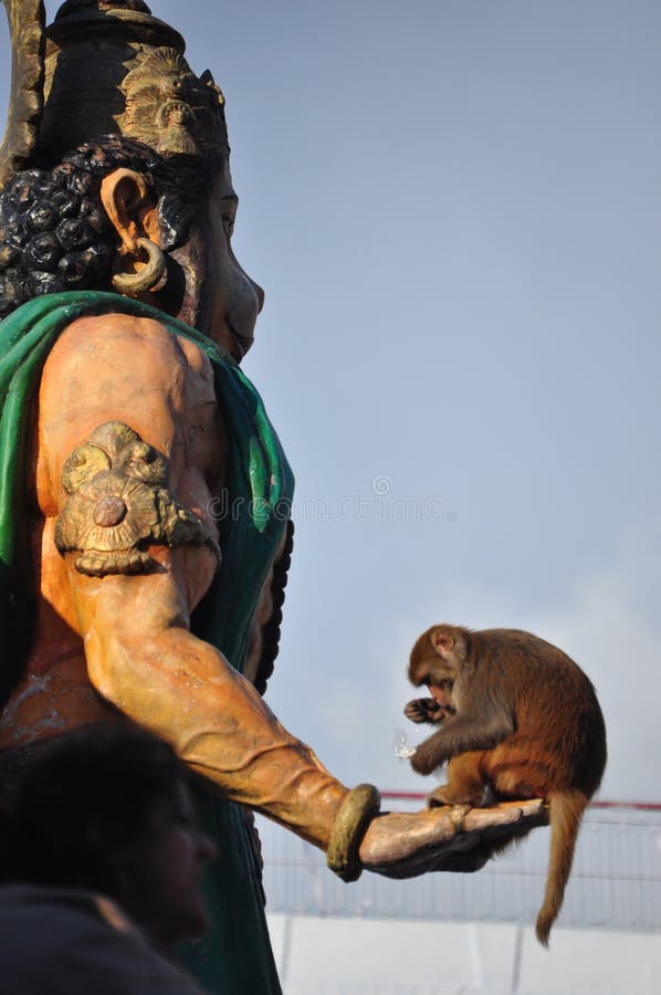 Kid Posing in a Hanuman Getup Editorial Stock Image - Image of ...