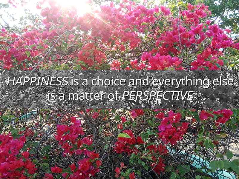 186 Happiness is a Choice and Everything Else is a Matter of ...