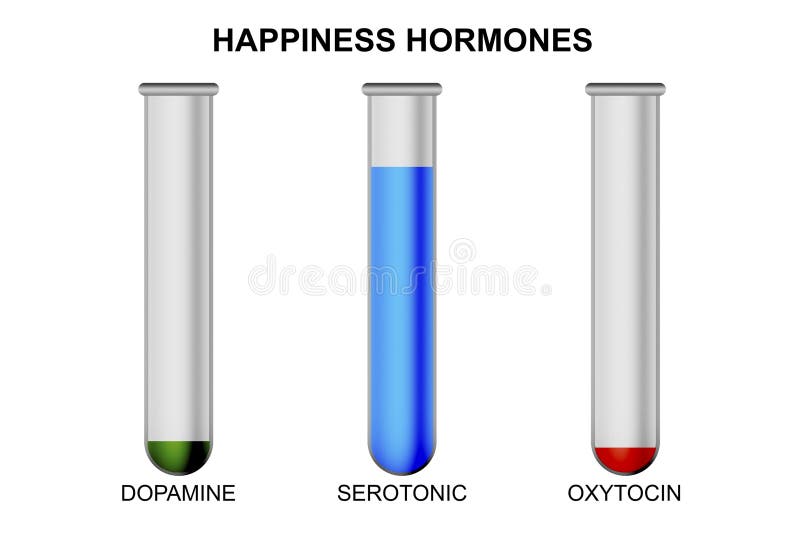 Happiness Emotion Hormones in Test Tube Isolated Stock Illustration ...