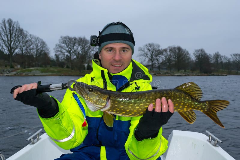 Angler with autumn walleye stock photo. Image of male - 61686066