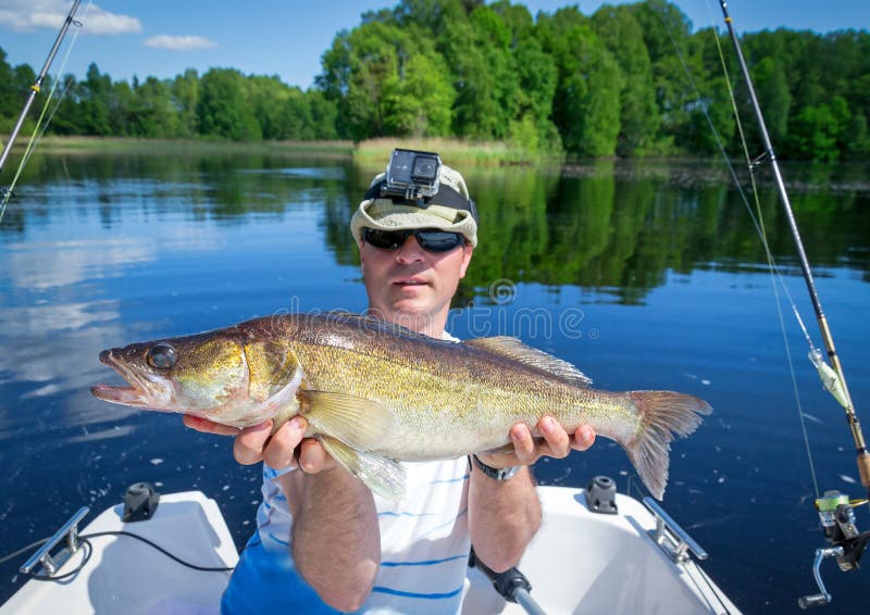 Angler with walleye fish stock image. Image of boat - 167684049