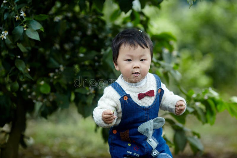 Happy Baby Boy in Lemon Trees Stock Image - Image of playful, beautiful ...