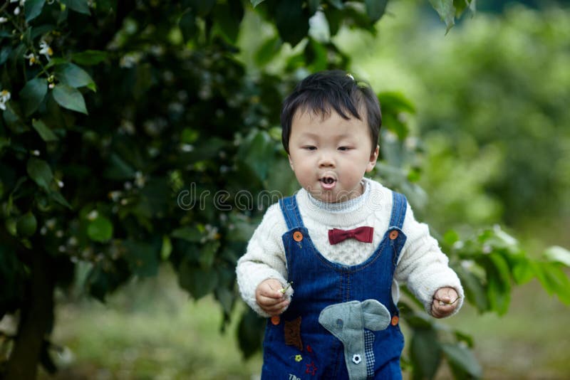 Happy Baby Boy in Lemon Trees Stock Photo - Image of green, beautiful ...