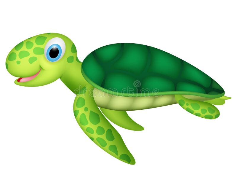 Baby Turtle Vector stock vector. Illustration of isolated - 4056622