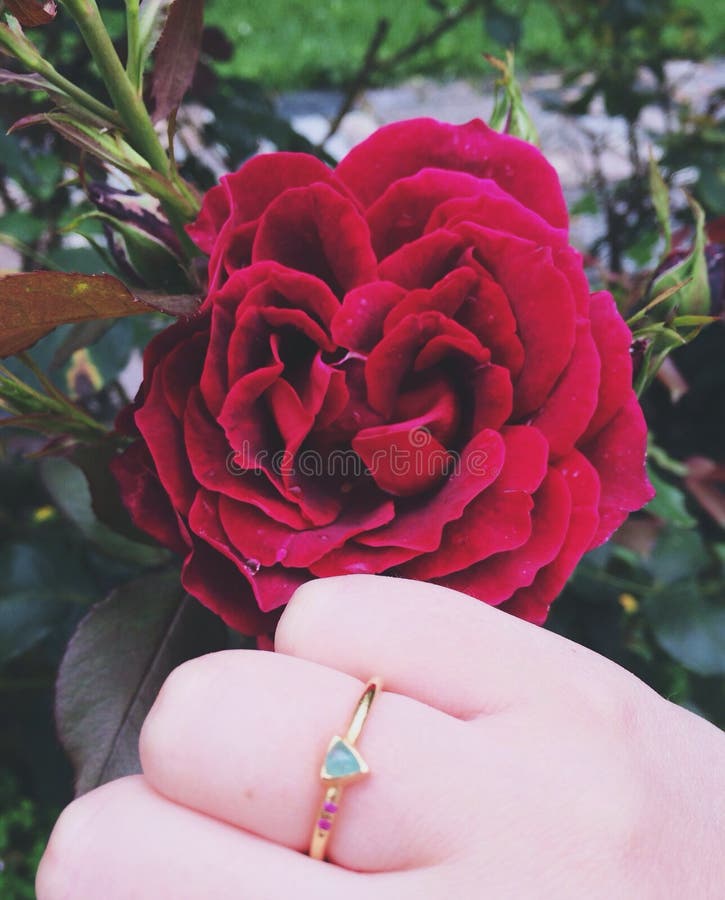 Happy Bday stock photo. Image of ring, jewelry, style - 71126458