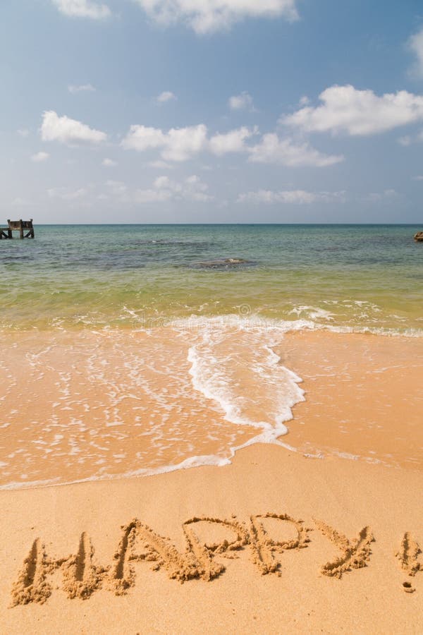 Happy on a beach stock photo. Image of coastline, beach - 39333292