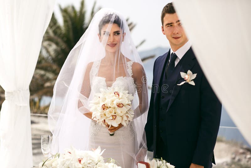 Happy Beautiful Newlyweds in Wedding Celebration Stock Photo - Image of ...