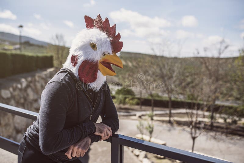 The Happy Bird Man Resting on Railing Looking Landscape Stock Image ...