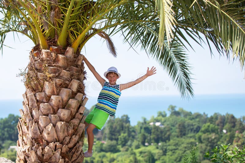 A Happy Boy Climbed a Tropical Palm Tree Stock Photo - Image of leisure ...