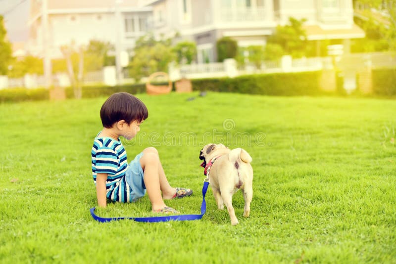 Happy boy with dog stock image. Image of learning, clever - 98210953