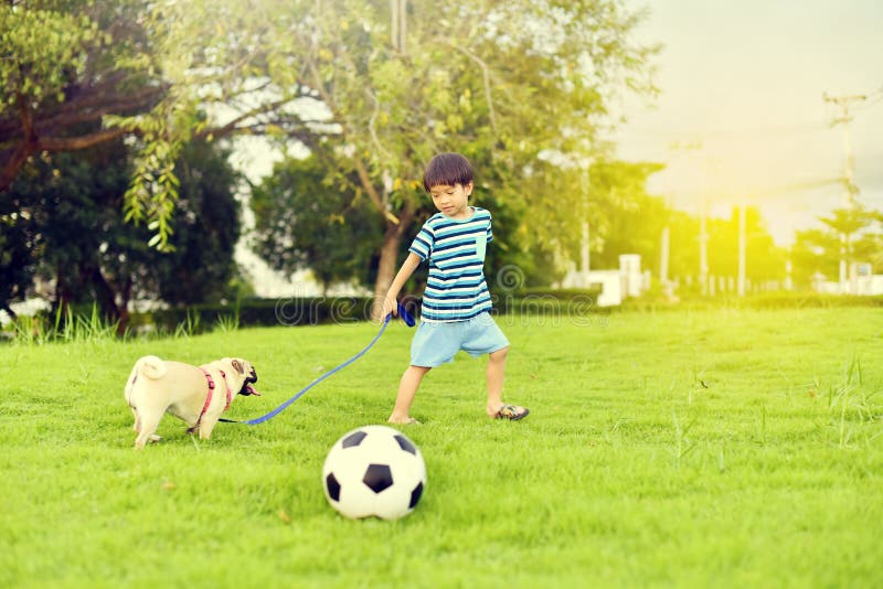Happy boy with dog stock image. Image of happy, people - 98153403