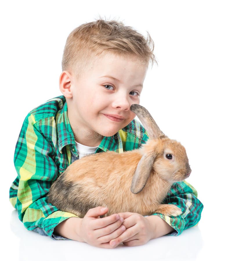 Happy Boy Embracing Rabbit Isolated White Background Stock Photos ...