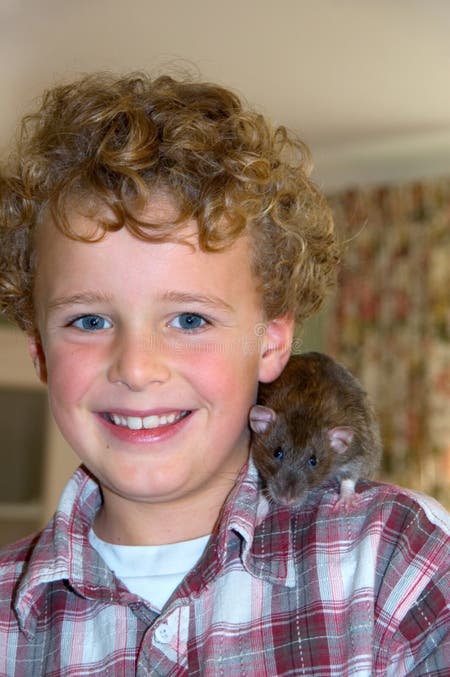 3,223 Rat Love Stock Photos - Free & Royalty-Free Stock Photos from ...