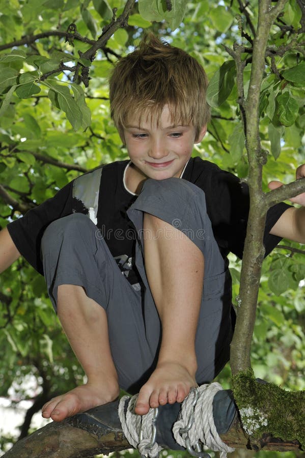 Happy Boy Playing on a Tree Stock Image - Image of small, smile: 44703501
