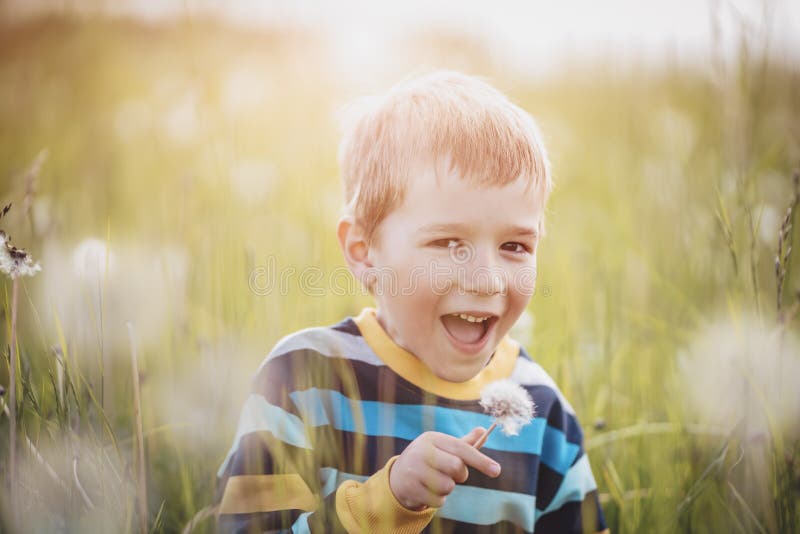 Happy Boy Standing on the Field with Dandelions Stock Photo - Image of ...