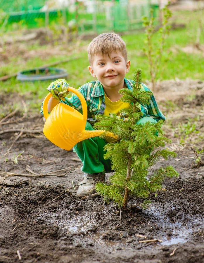 Happy Boy Watering the Planted Tree Stock Photo - Image of green ...