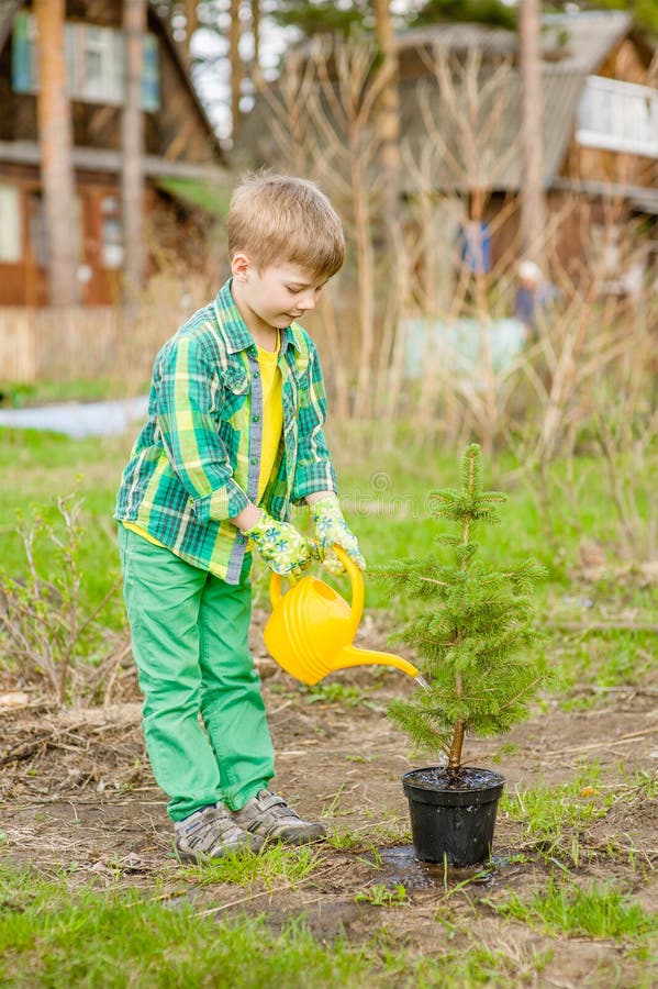 Happy Boy Watering a Sapling Tree Stock Image - Image of life ...