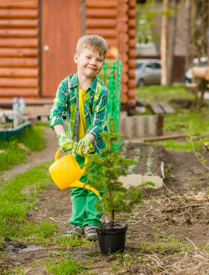 Happy Boy Watering a Sapling Tree Stock Photo - Image of gardening ...