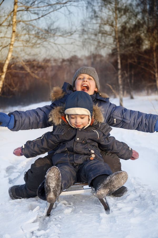 Happy boys on sled stock photo. Image of happy, excitement - 58364916