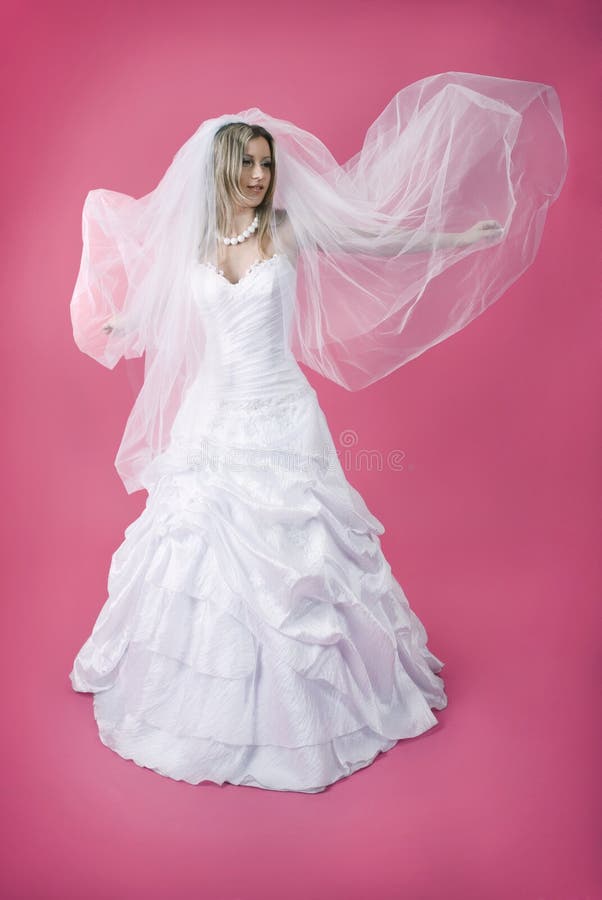 Elegant beautiful bride stock photo. Image of serene, portrait - 8561332