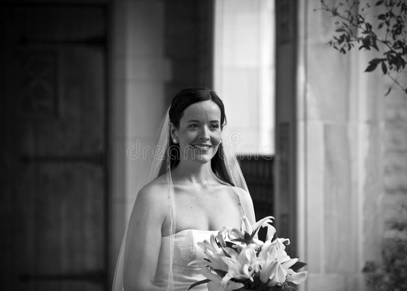 Happy Bride stock photo. Image of wedding, caucasian, portrait - 6716718