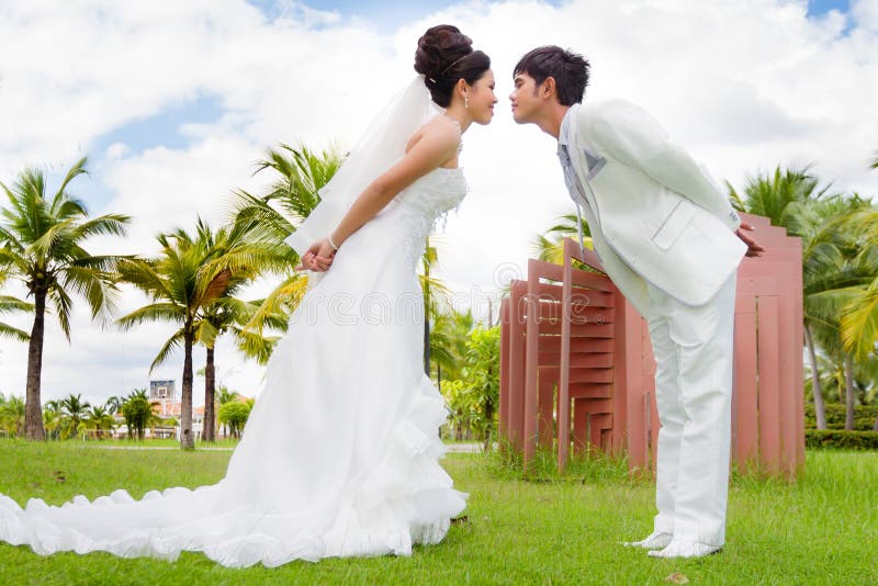Happy bride and groom stock photo. Image of cheerful - 27793162