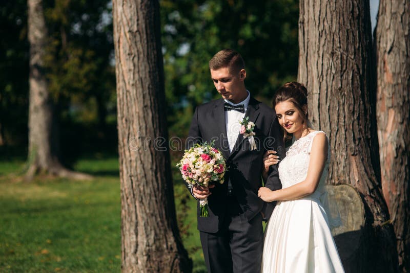 Happy Bride and Groom after Wedding Ceremony Stock Image - Image of ...