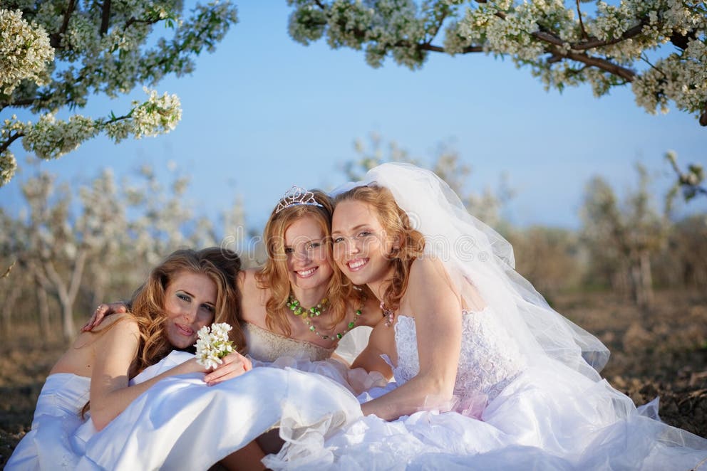 Happy brides stock image. Image of blondes, cute, looking - 9386791