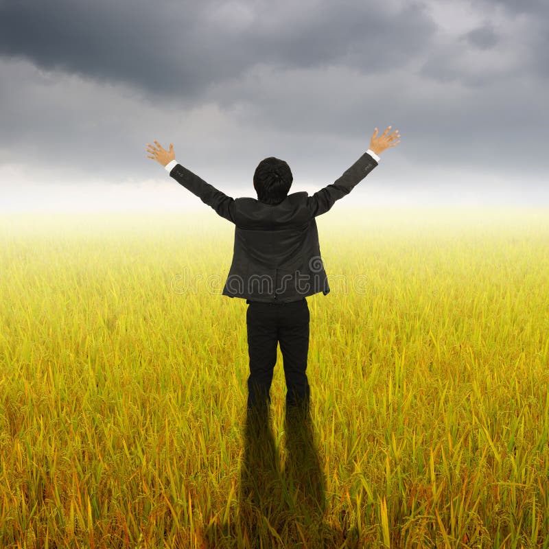 Vision Business Man in Fields and Sun Sky Stock Image - Image of nature ...