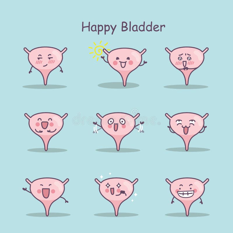Happy cartoon bladder stock vector. Illustration of examining - 83000662