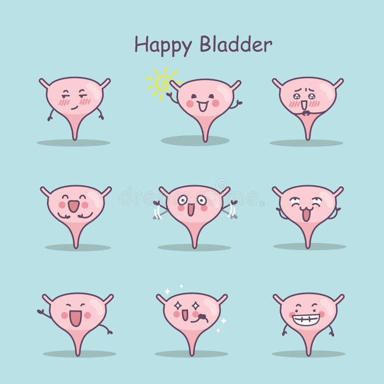 Bladder Organ Character Stock Illustrations – 1,208 Bladder Organ ...