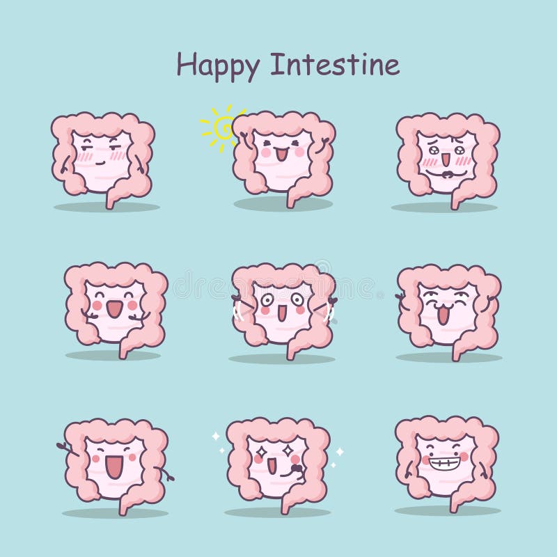 Happy Cartoon Intestine Set Stock Vector - Illustration of digestive ...