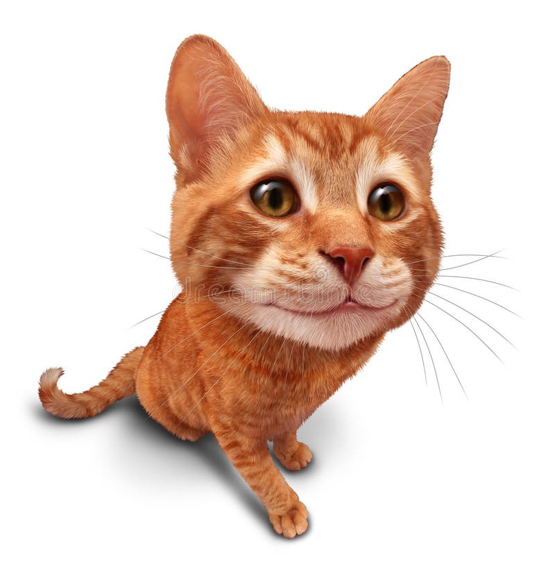 Cat Perspective Stock Illustrations – 275 Cat Perspective Stock ...