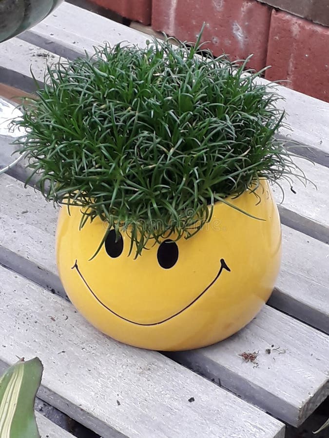 Happy Ceramic Face with Grass Hair Stock Image - Image of hair, pottery ...