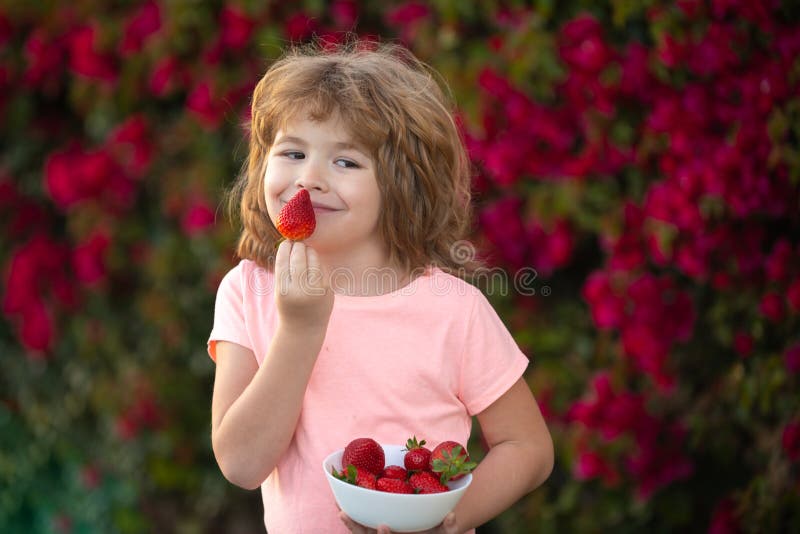 Happy Child Boy Eat Strawberry. Happy Child Eats Strawberries. Stock ...