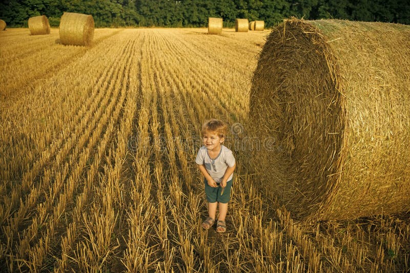 Happy child in field stock image. Image of cultural - 131198155