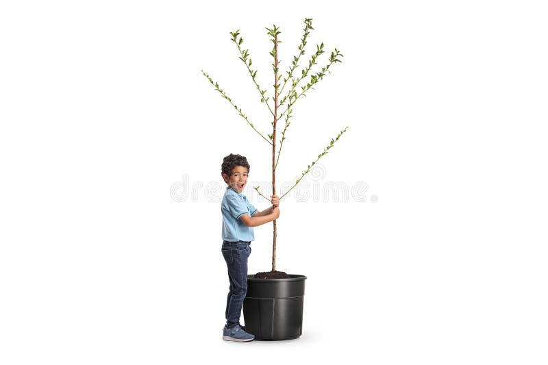 Happy child hugging a tree stock image. Image of fertile - 385214937