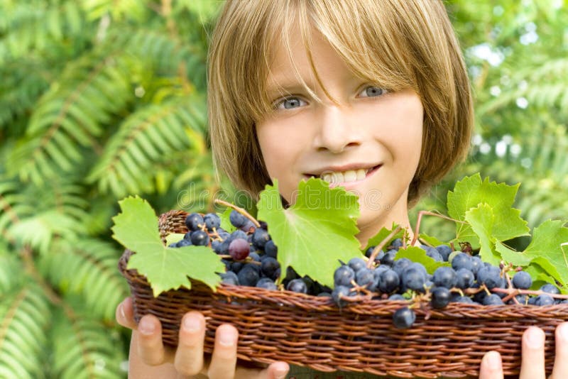 Happy Child in the Vineyard Stock Photo - Image of organic, agriculture ...