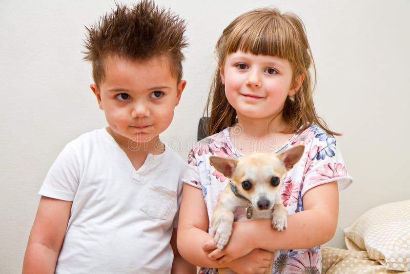 Happy children with a dog stock photo. Image of isolated - 71990768