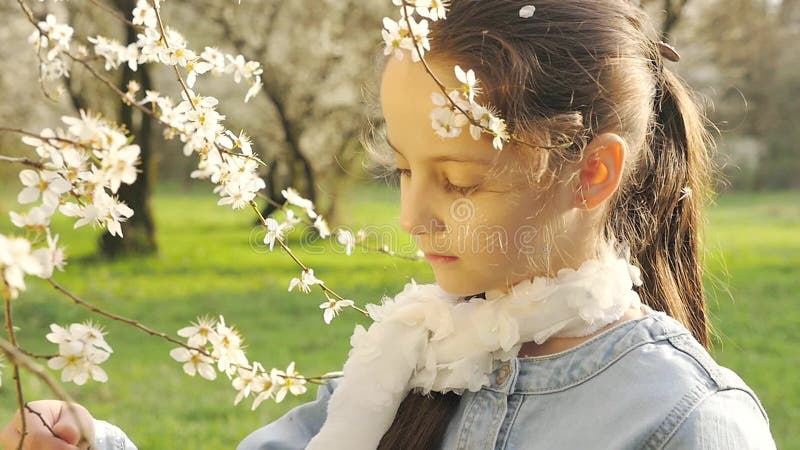 Happy Children, Falling Petals Tree Stock Footage - Video of freedom ...