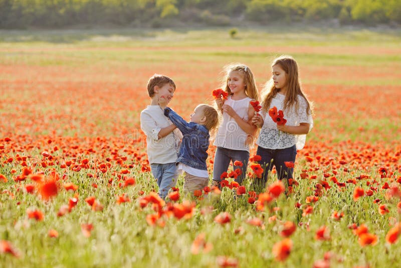 Happy children in field stock photo. Image of happy - 183651562