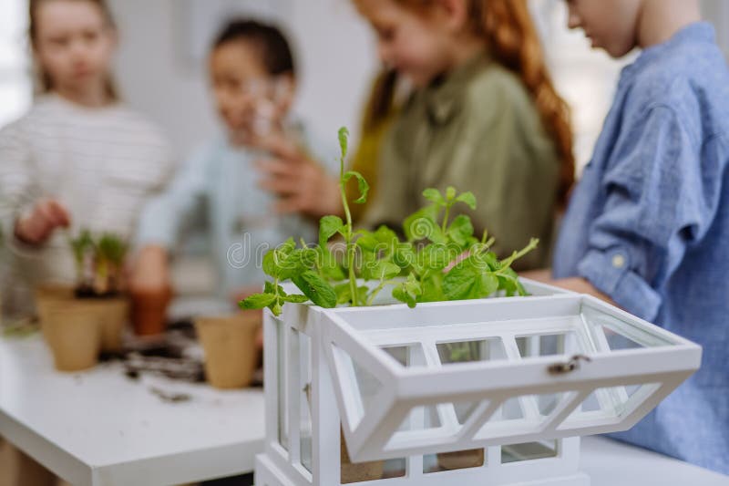Happy Children Learning How To Take Care about Plants. Stock Image ...
