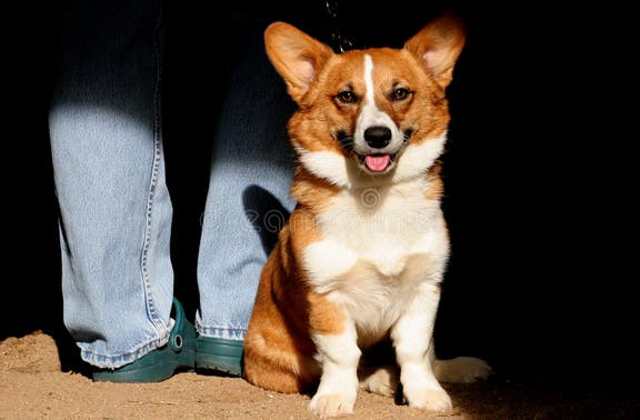 2,948 Master Dax Feet Stock Photos - Free & Royalty-Free Stock Photos ...