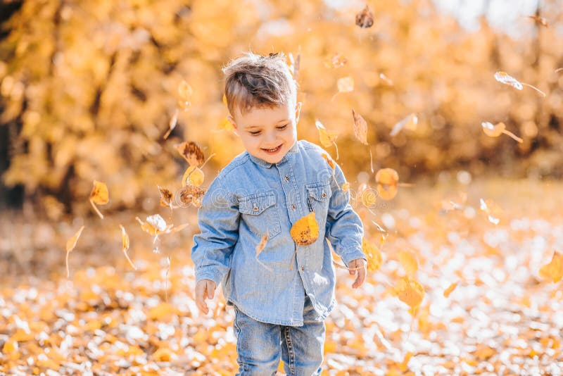 Happy Cute Boy Playing with Autumn Leaves in the Park Stock Photo ...